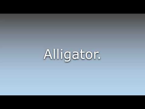 What does Gator mean?