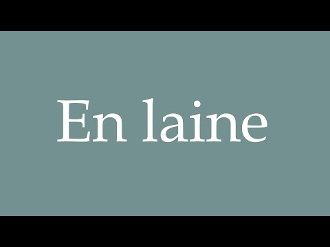 How to Pronounce ''En laine'' Correctly in French