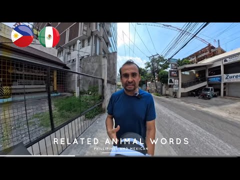 Words related to animals that mean different in Philippines and Mexico hip贸dromo, palenque, lech贸n