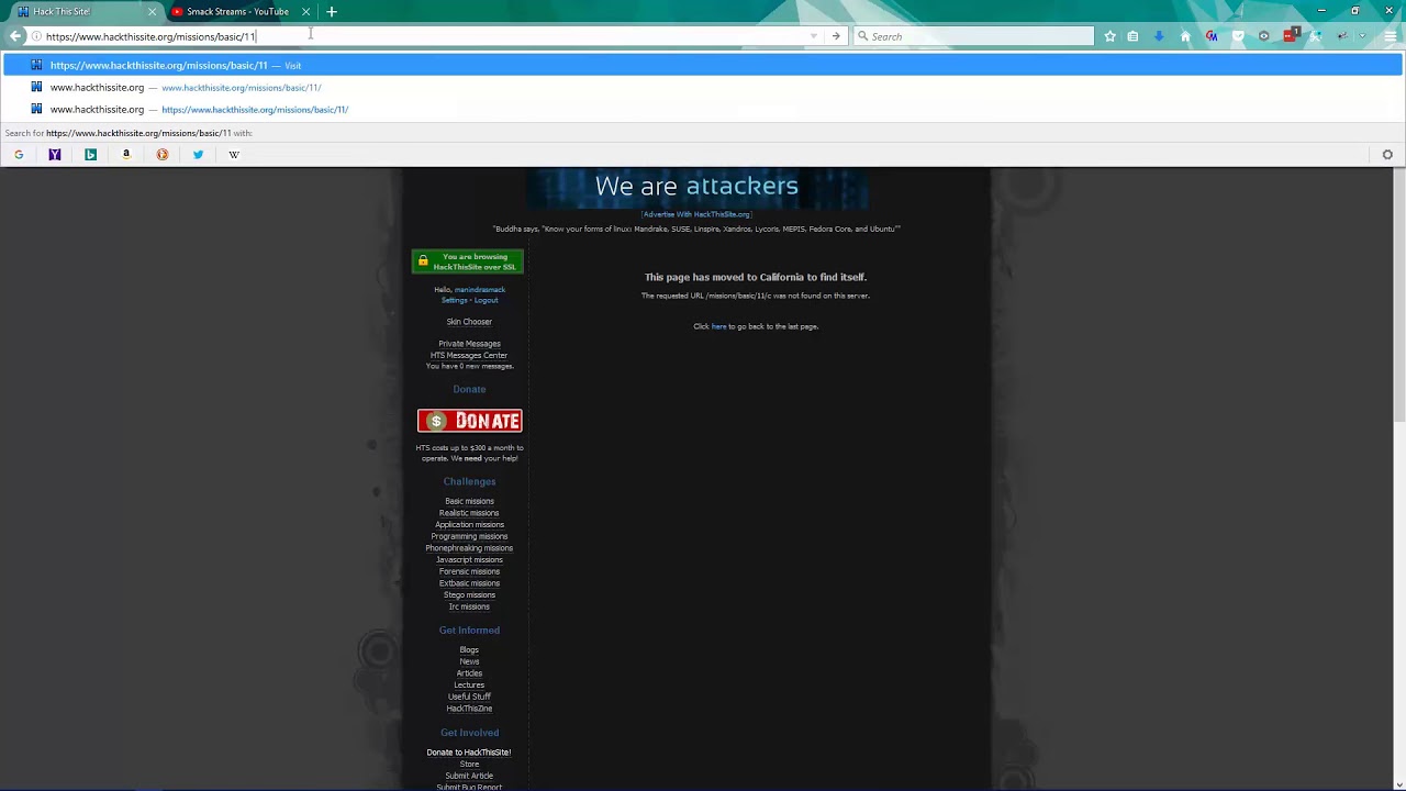 Basic - 11 Solution | HackThisSite