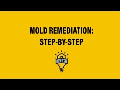 SBP: Step-by-Step Mold Remediation Guide
