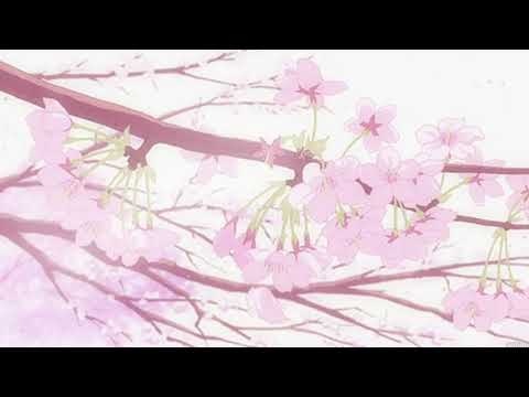 ???? Aesthetic Floral/Flower Anime Gif || Bybyfairy