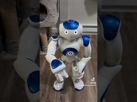 NAO Robot Basic Channel (Solution To Non Cloud Connected Robots)