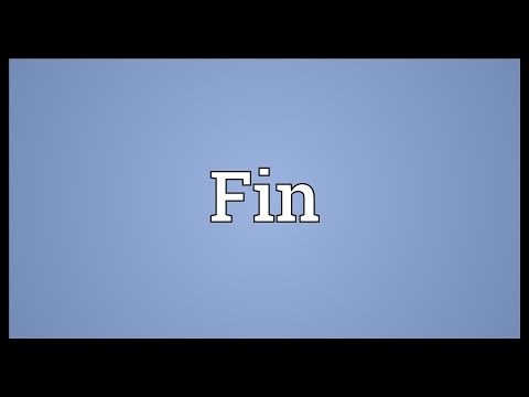 Fin Meaning
