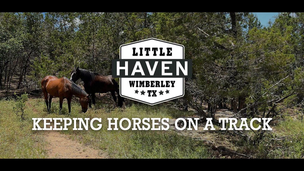 Small-Scale Horse Paddock Design