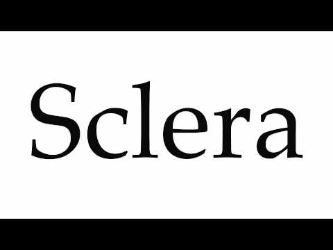 How to Pronounce Sclera