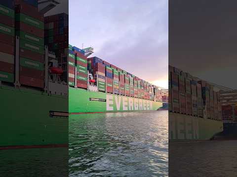 I Spotted The BIGGEST SHIP in Port