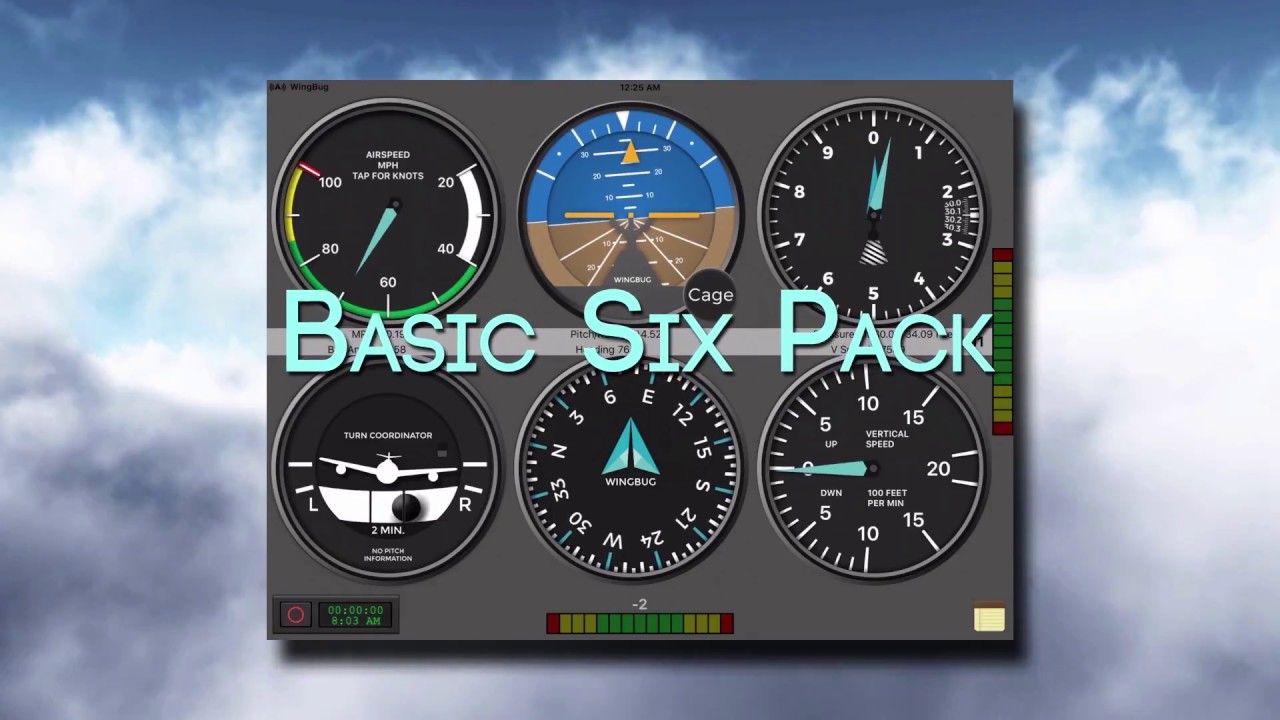 WINGBUG Promo