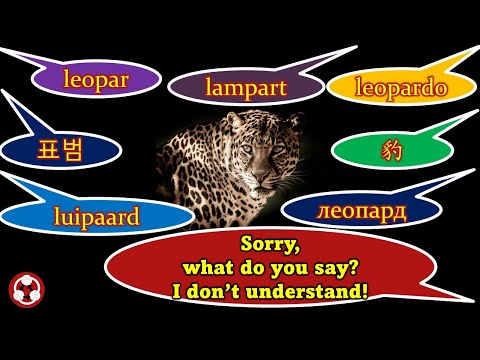 Animals How to pronounce leopard, 豹, ヒョウ, 표범, luipaard, léopard, leopardo, lampart, leopar, леопард