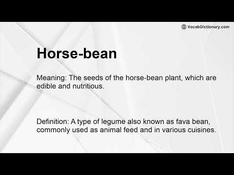 Horse-bean Meaning