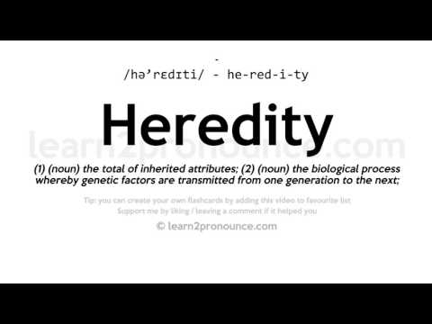 Pronunciation of Heredity | Definition of Heredity