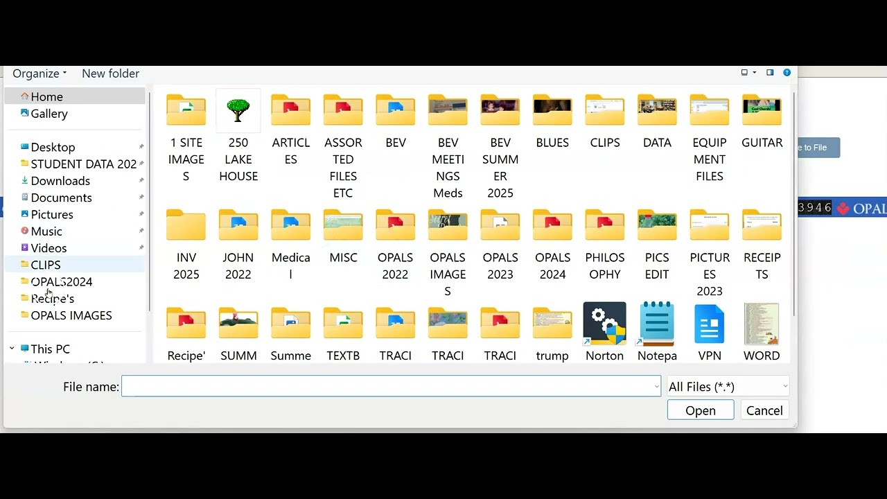 Hitfile Manager Test
