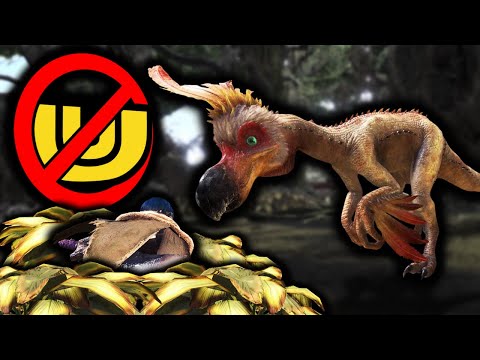 Can You Beat Kulu-Ya-Ku Undetected?