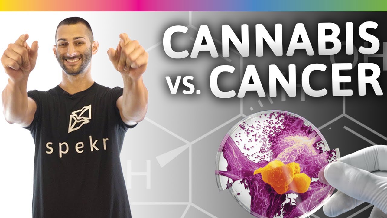 Finding the Cure for Cancer: Cannabis, Cancer Cells, and Apoptosis