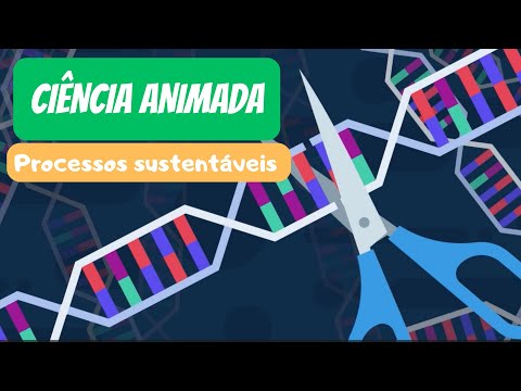 Ciência Animada - Processos sustentáveis