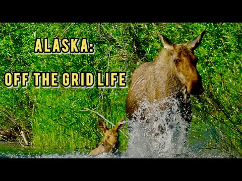 Off the Grid Summer in Wild Alaska