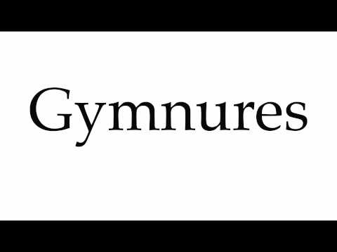 How to Pronounce Gymnures