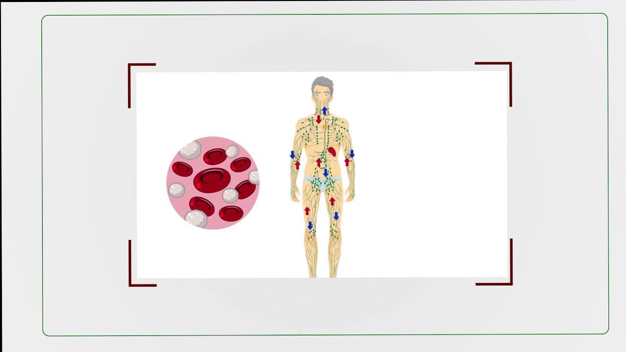 Everything You Need to Know: Immunophenotyping Test