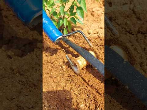🔥Drip Irrigation Tool👌🏻- Super idea! #farminglife #ideas