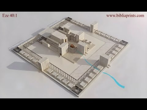 Day 197: Two visions | bible:365