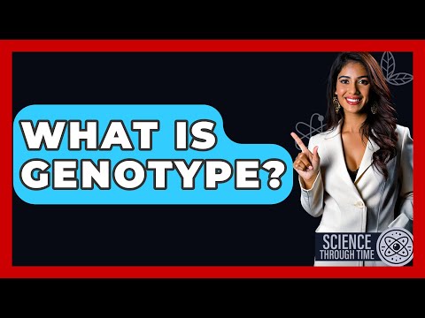 What Is Genotype? - Science Through Time