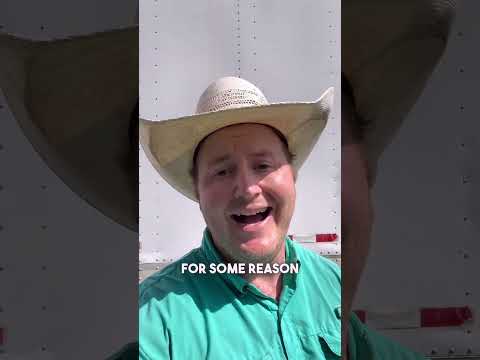 What is the Yearling Bovine Academy?