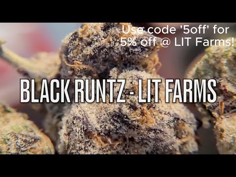Black Runtz – LIT Farms THCa Flower Review – The Highest Club