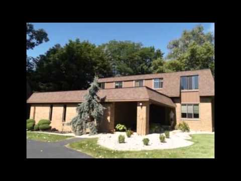 homes for sale in northville mi 48167
