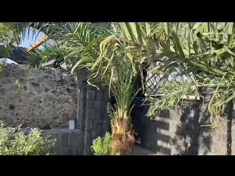 MASALLACIN BANU UNAIYIF GARIN MADINAH
