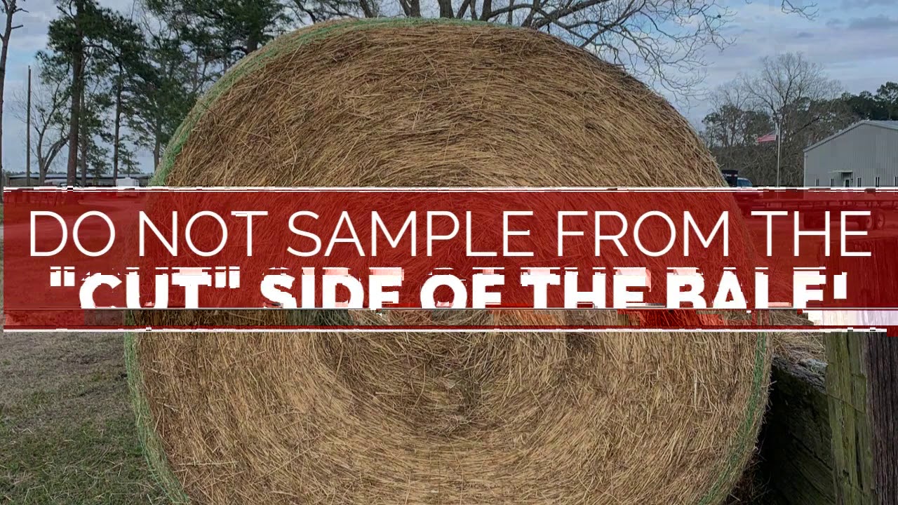 Forage and Hay sampling
