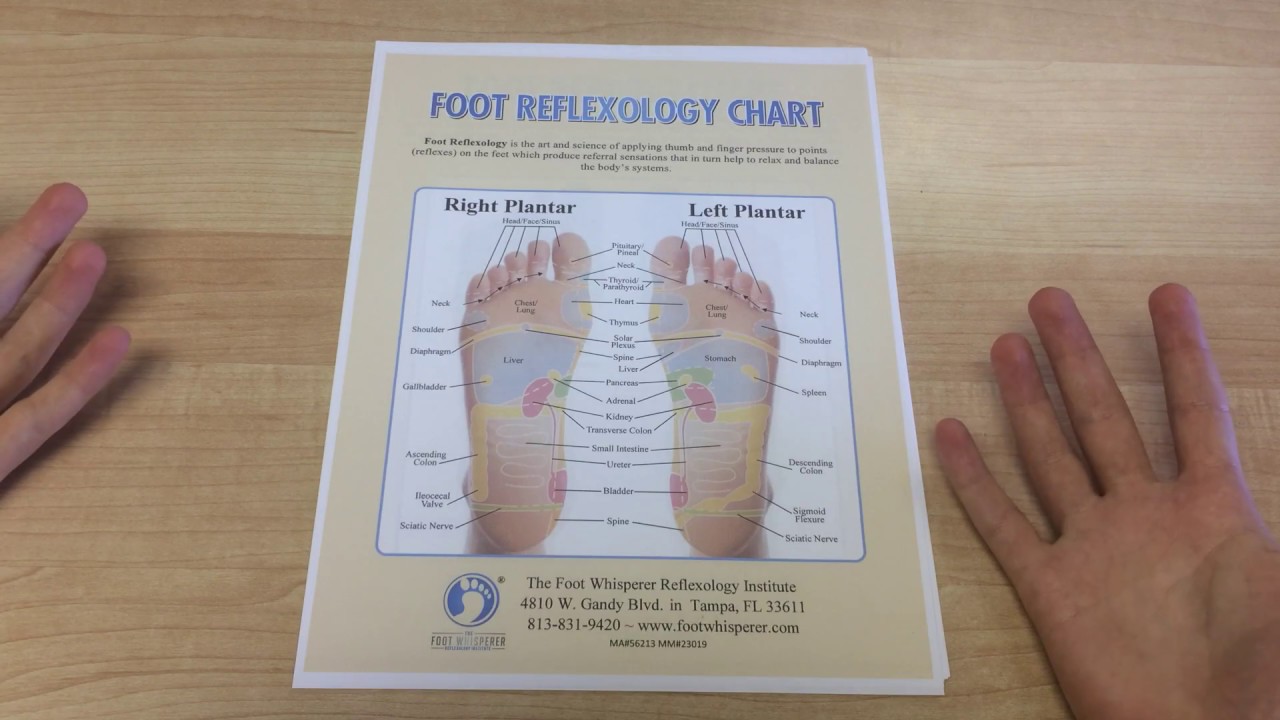 Downloadable Reflexology Charts