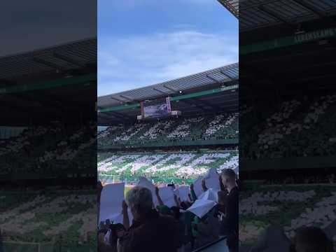 Werder Bremen vs RB Leipzig 🇩🇪👏 10.05.2025 #werderbremen #bremen #germany #ultras #ultrasworld