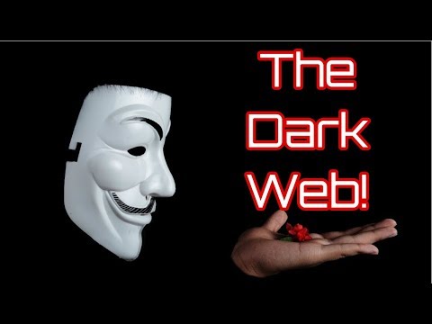 The DARK WEB and the DEEP WEB and how they work! (TOR BROWSER)