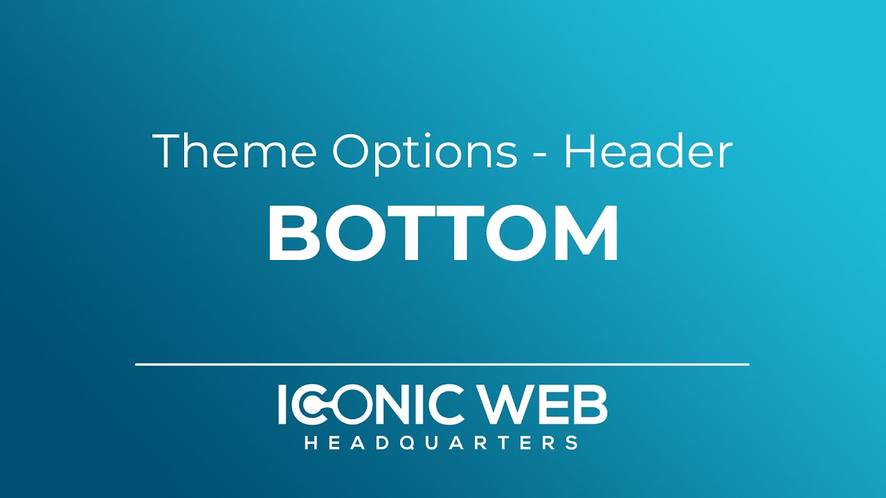 Theme Options - Header - Bottom