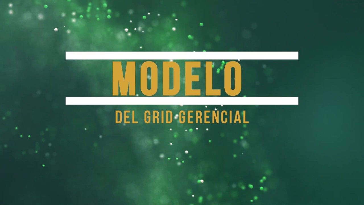 Modelo del Grid Gerencial