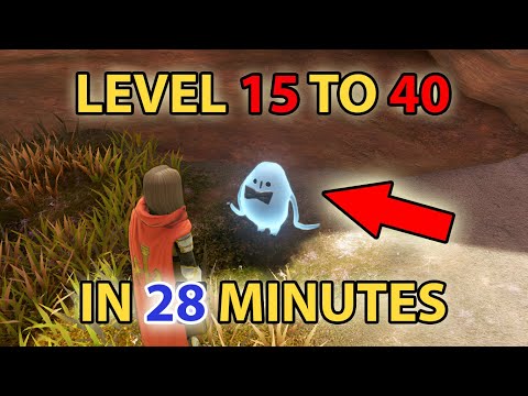 [DQ11S] Early Game Efficient EXP Farming