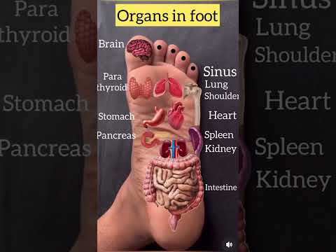 What is Foot Reflexology - Foot Massage And Benefits - How to do Foot Reflexology Step By Step