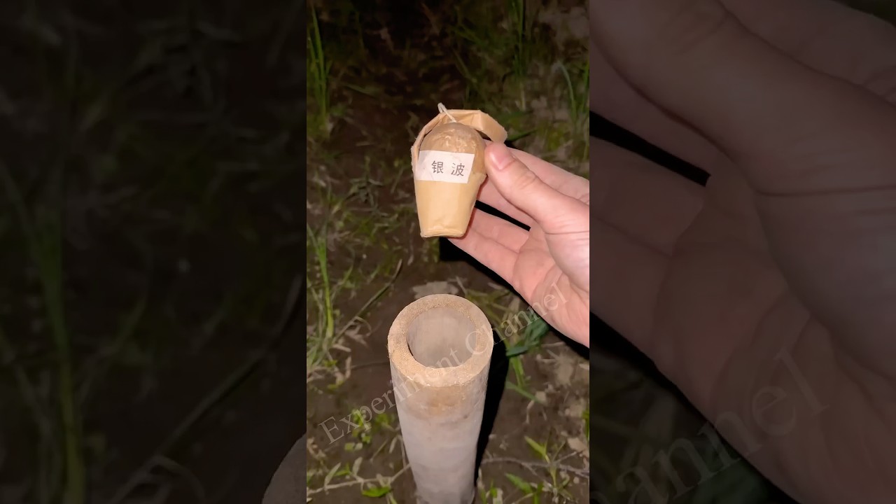 BAMBOO FIREWORK SHELL #shorts #diy #cracker #firework #trick #lifehack