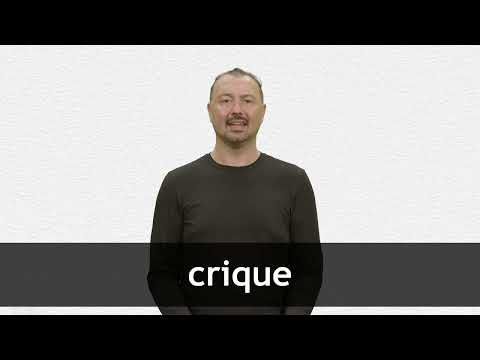 English Translation of “CRIQUE” | Collins French-English Dictionary