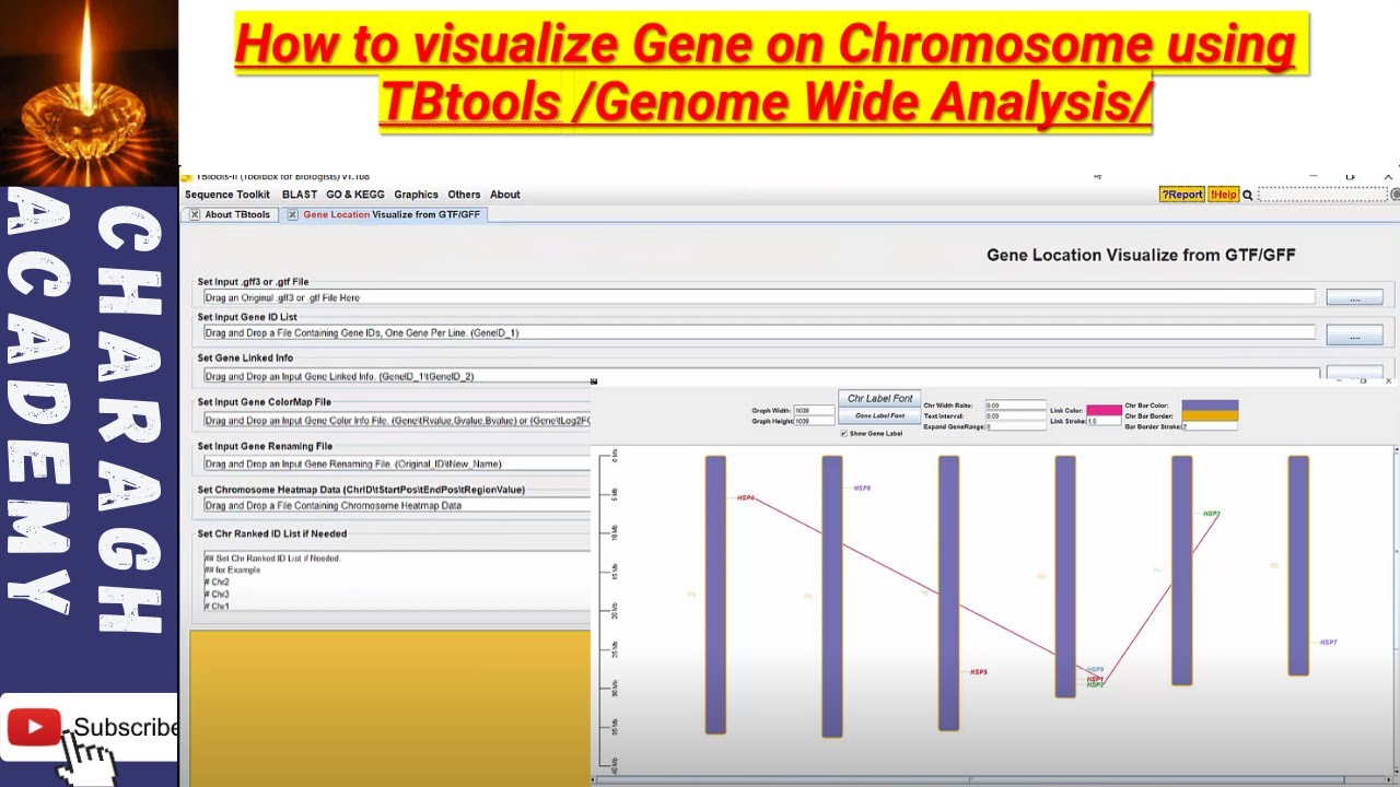How to visualize Gene on Chromosome using TBtools /Genome Wide Analysis/