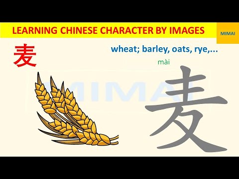 [107] #麦 #wheat how to write mai in Chinese character by images #HSK1 #mimaichinese