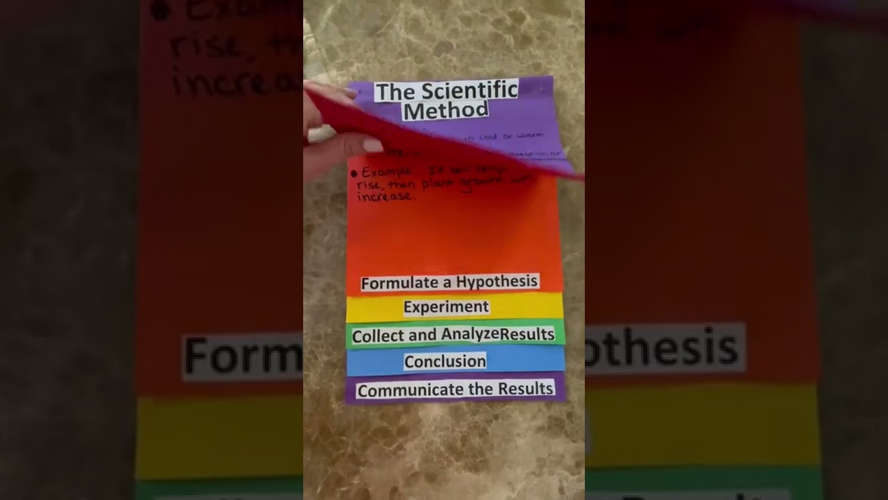 Scientific Method Foldable