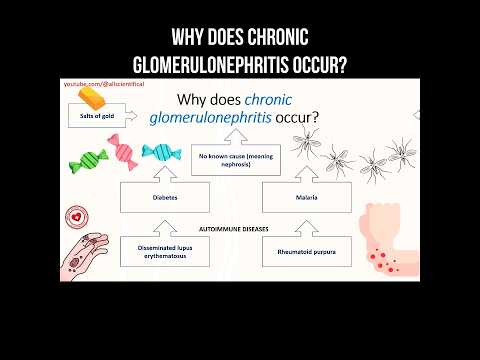 Why does chronic glomerulonephritis occur? #glomerulonephritis #kidneydisease #kidney #nephrology