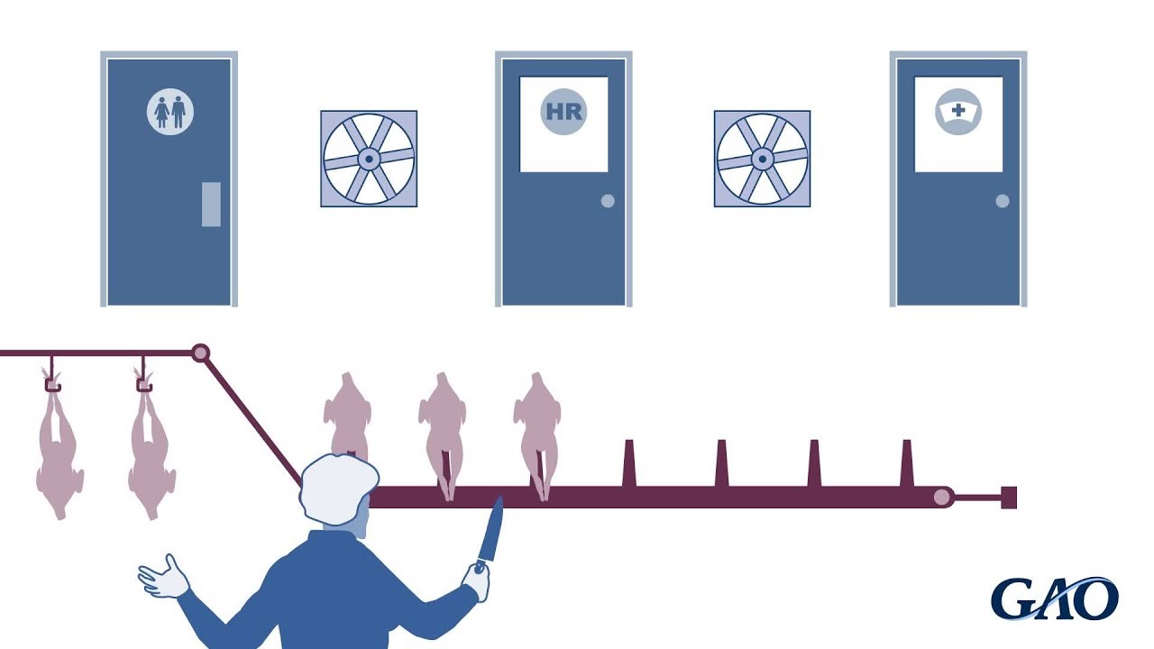GAO: Workplace Safety at Meat and Poultry Plants