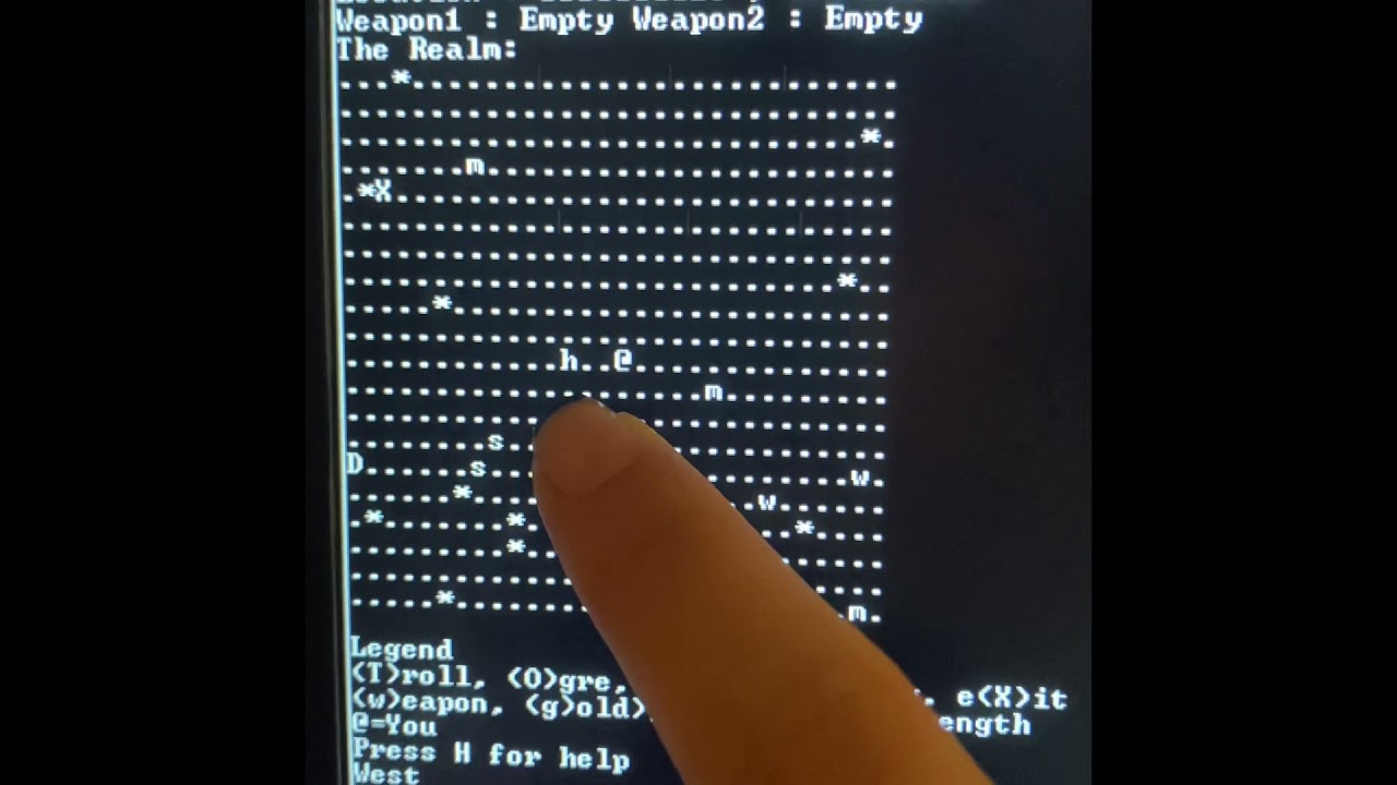 Microrealms microprocessors