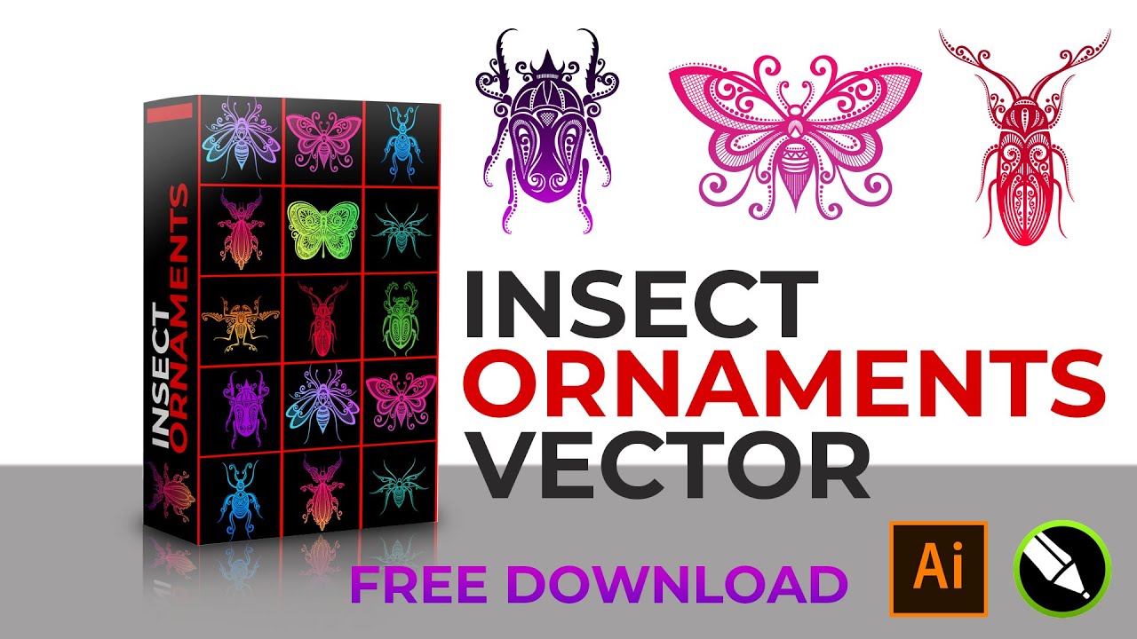 Insect Ornaments Vector | Free Download