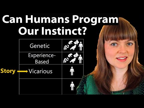 4 Stages of Instinct Evolution | Story is Vicariously Programmed Instinct