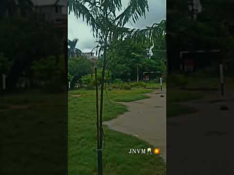 Jai narayan vidya mandir inter college (ground)