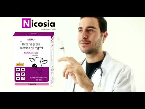 Buparvaquone Injection - Butalex Injection Latest Price, Manufacturers ...