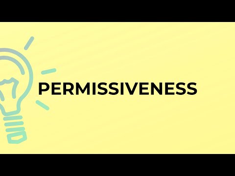 What is the meaning of the word PERMISSIVENESS?